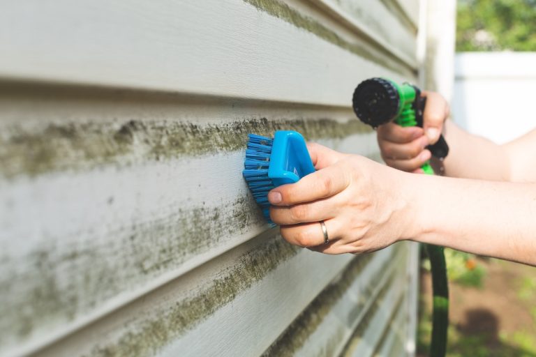 7 Siding Maintenance Tips: Keep Your Home Looking New